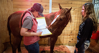 Pre-Veterinary Medicine | University of Wisconsin - River Falls